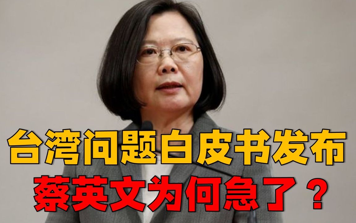 统一提速!台湾问题白皮书发布,国民党代表遂来大陆,蔡英文急了