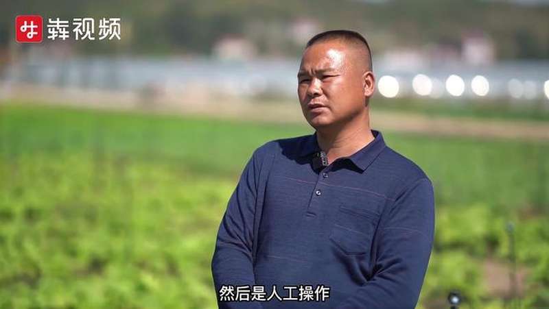 衡山高标准农田建设助力“新农人”增收