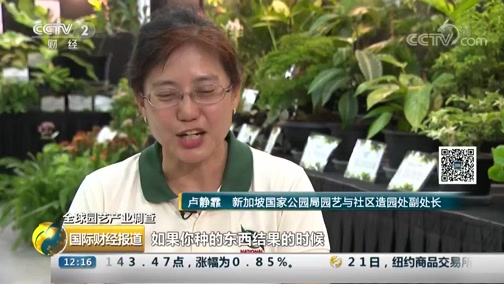 [国际财经报道]全球园艺产业调查 新加坡:花园进社区 民众争当“城市...