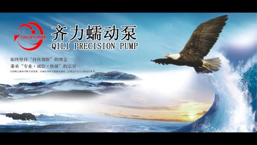 蠕动泵BT100-02DG操作视频