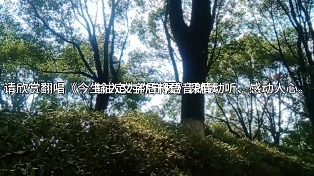 《今生注定为你守候》