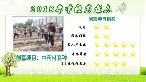 养鱼新模式!模拟流水家鱼野养,农村大爷在家动动手就能把鱼卖!