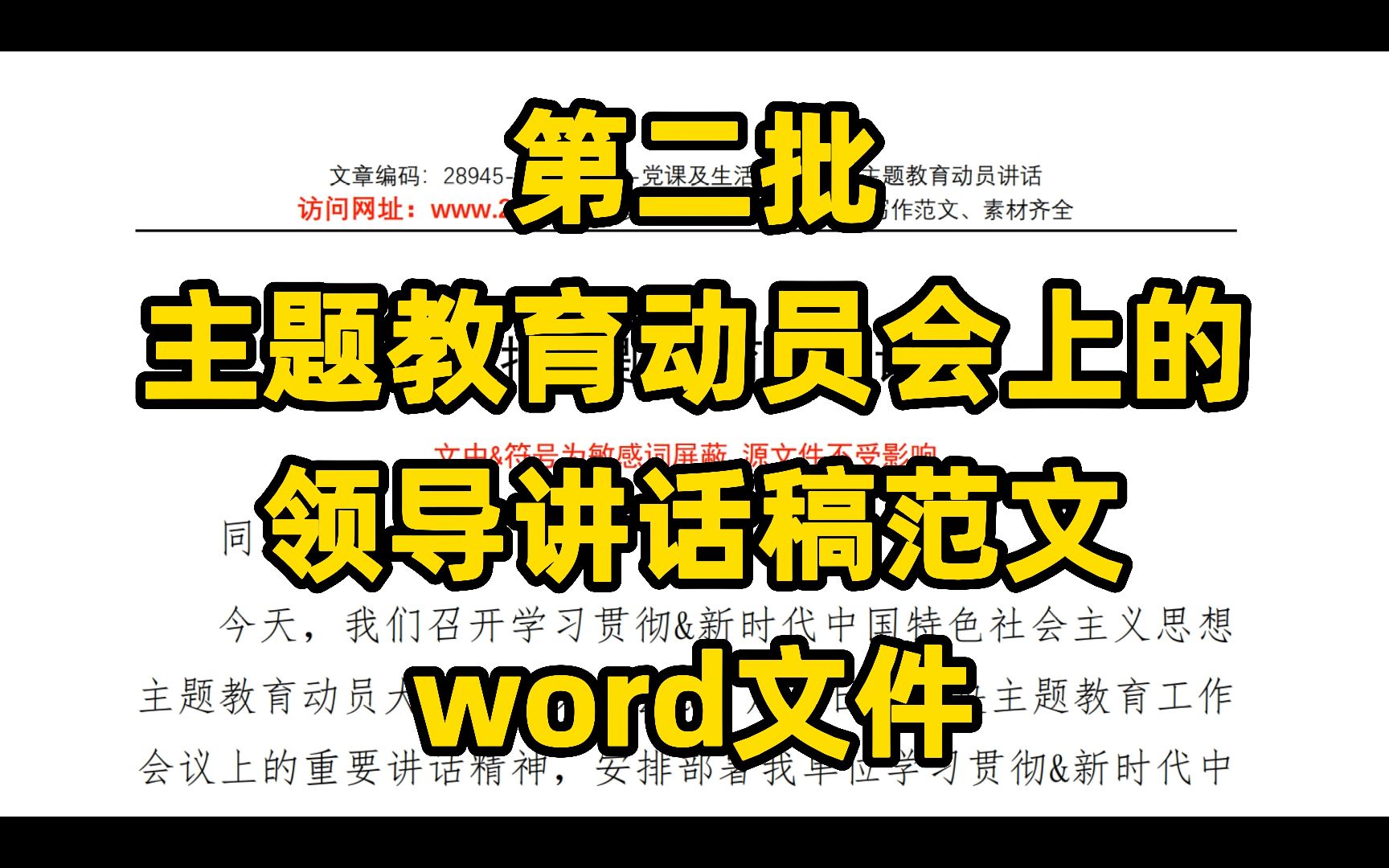 第二批 主题教育动员会上的 领导讲话稿范文 word文件