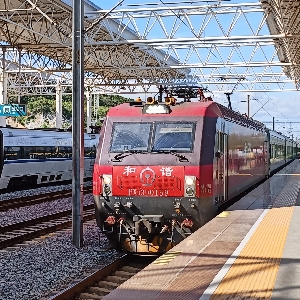 冬瓜中的胖冬瓜 