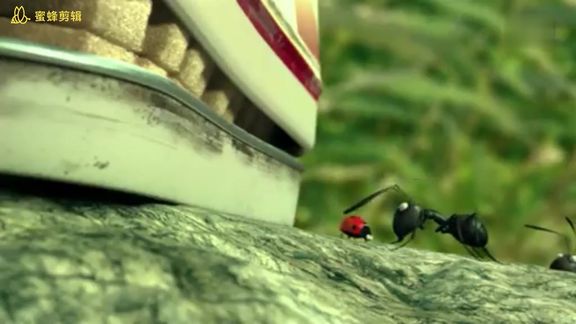 据说叫《XX总动员》的动画片都很牛逼——力推《昆虫总动员》!