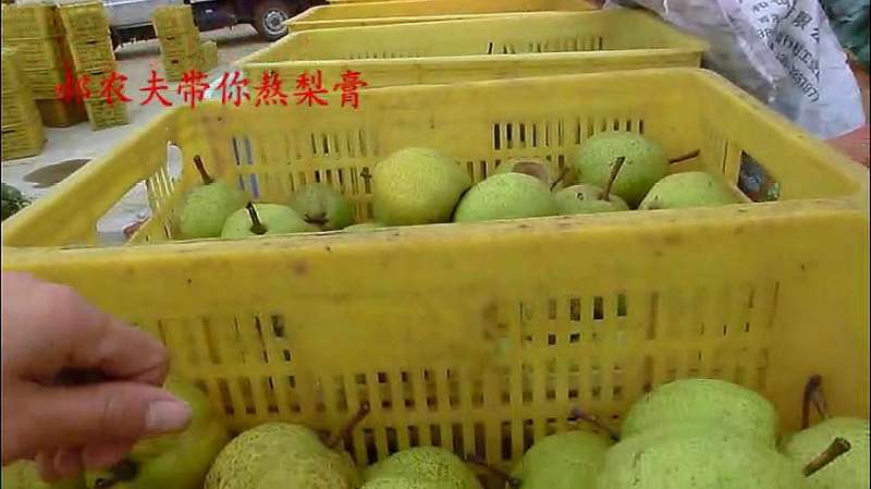 莱阳梨膏的熬制方法过程,一起看看吧