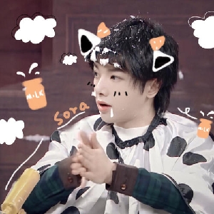 疯人院的小花落 