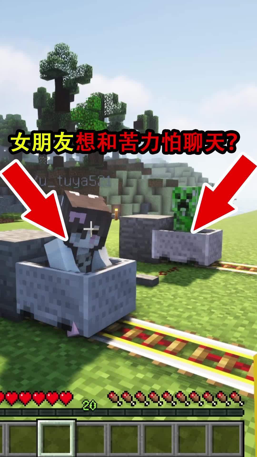 我的世界:傻子女朋友想要和苦力怕聊天?