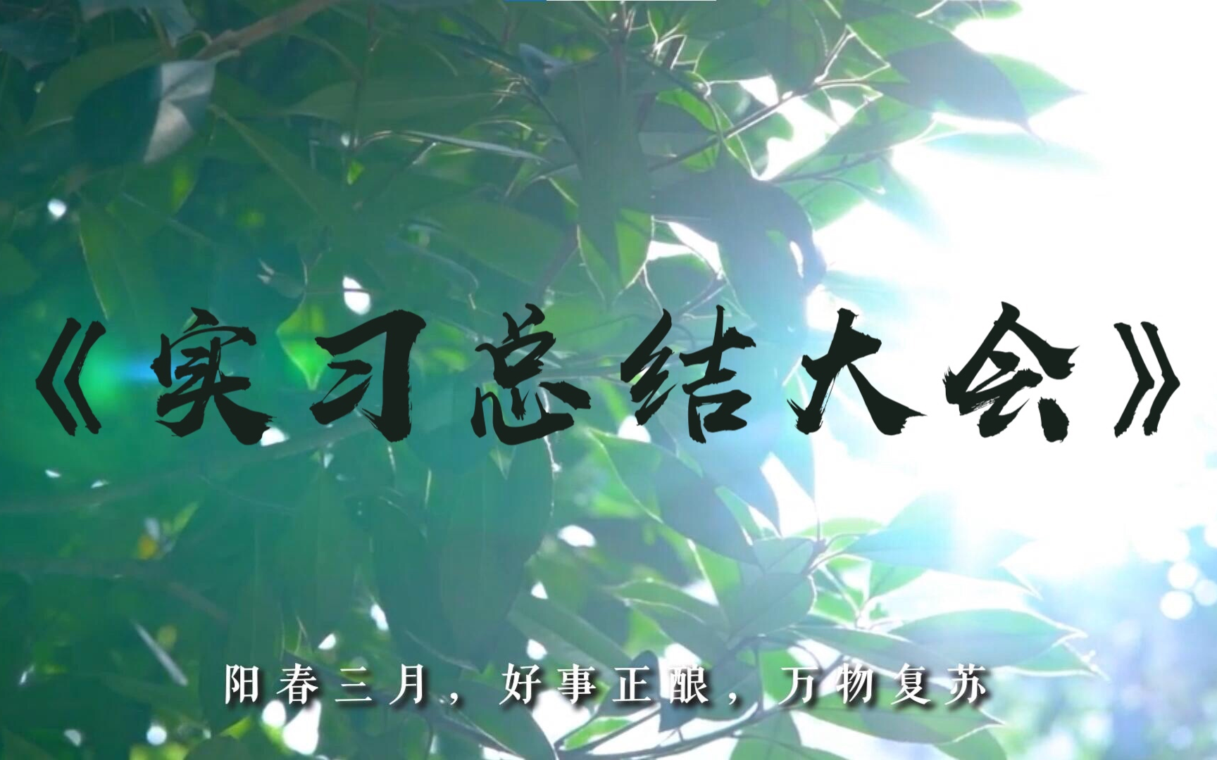 实习总结大会开场视频【自用】