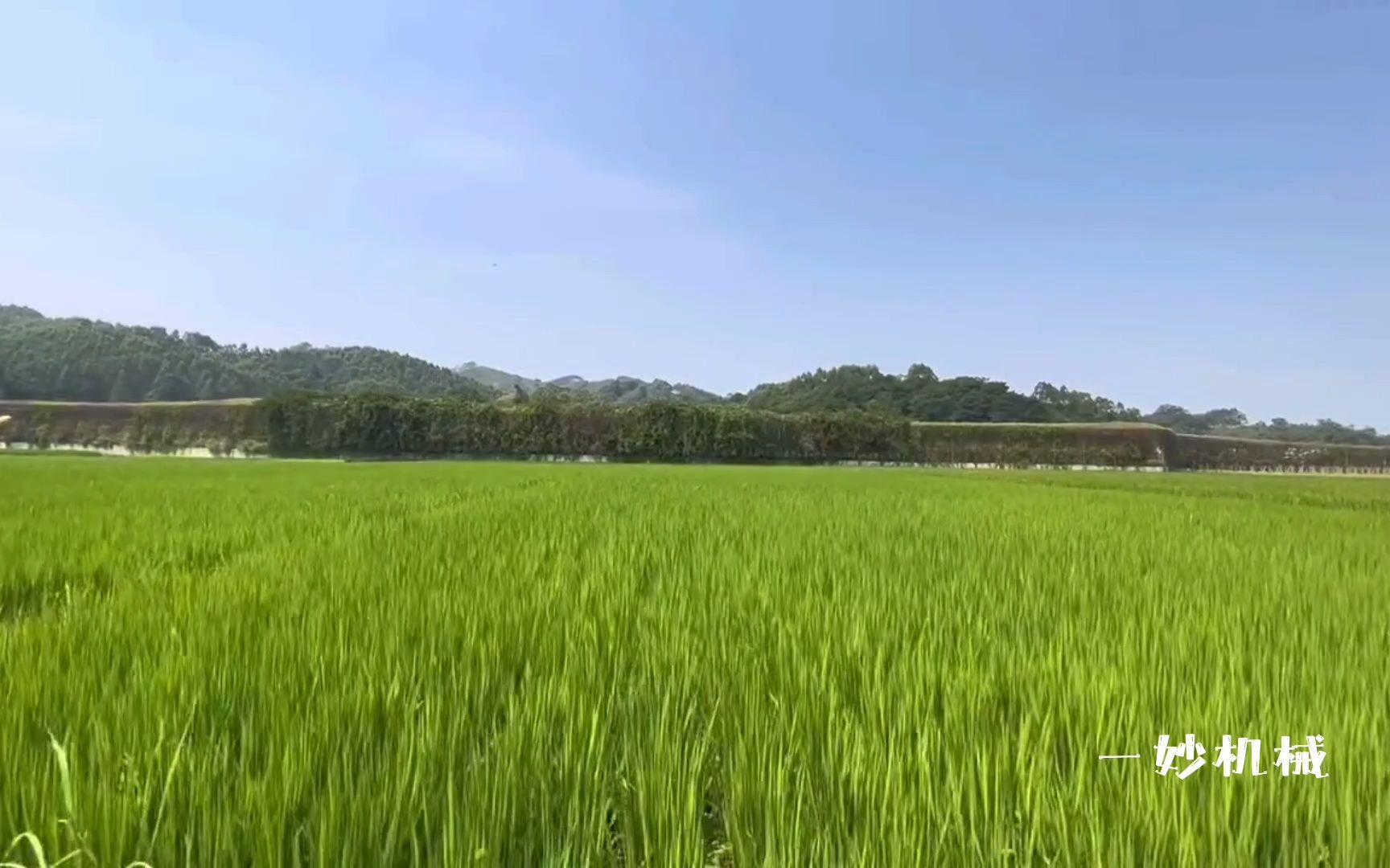 景区公园旅游有轨道火车游乐设施