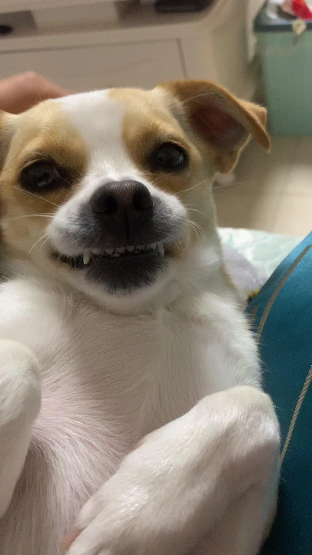 这才叫露八颗牙的标准微笑