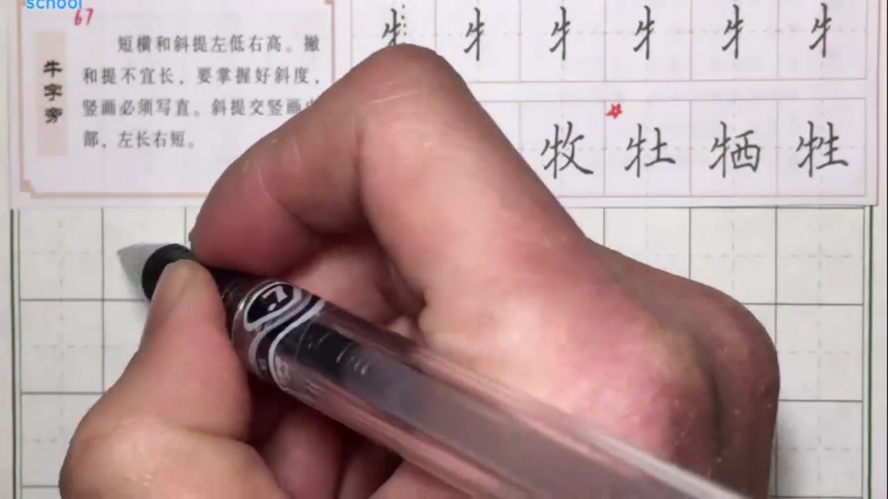 硬笔书法教程:牛字旁,硬笔书法入门