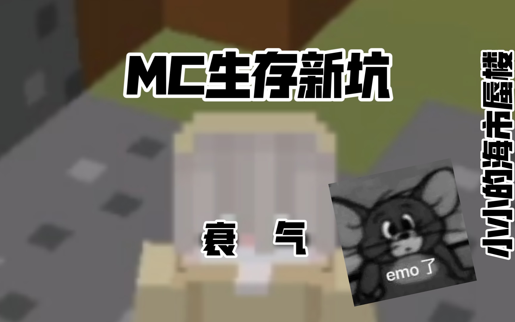 MC开新坑纯生存(有少部分辅助模组)