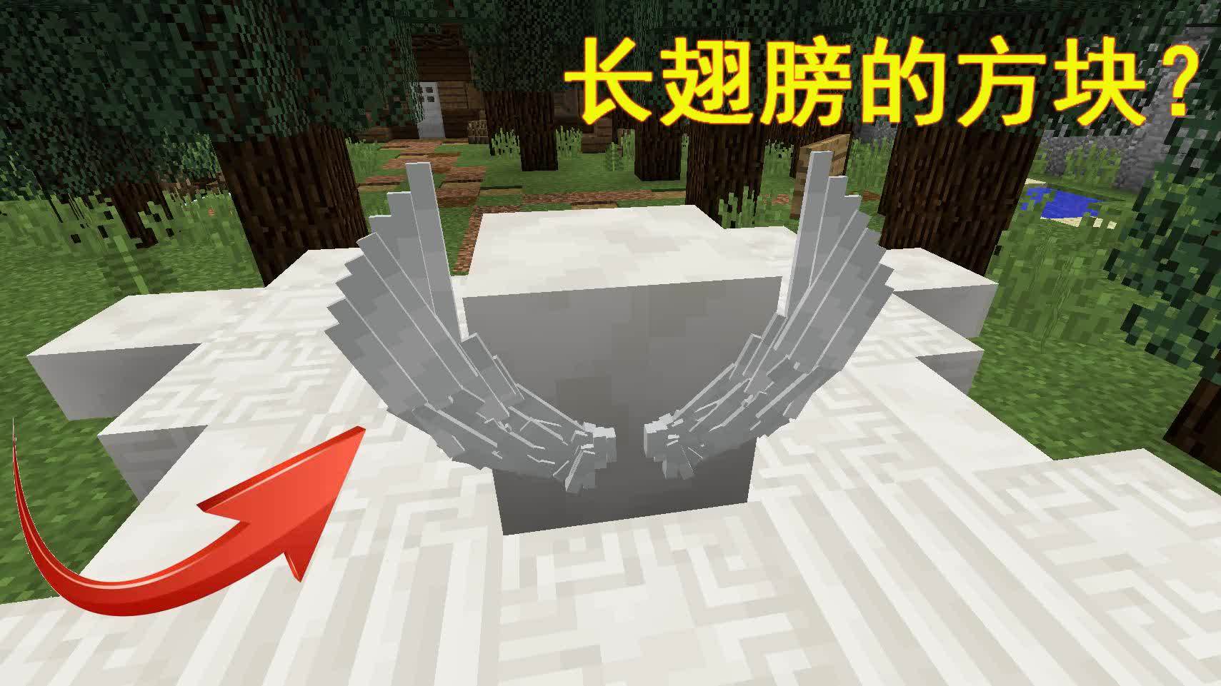 我的世界 长翅膀的方块?滑动方块?各种特效,这是吗?