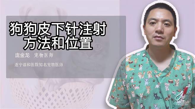 狗狗皮下针注射方法和位置