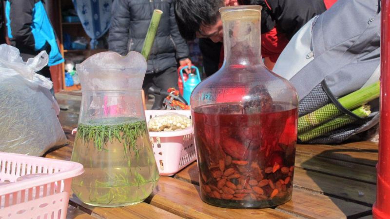 红豆杉的树皮泡酒有哪些功效?连中医都叫好,不知太亏了