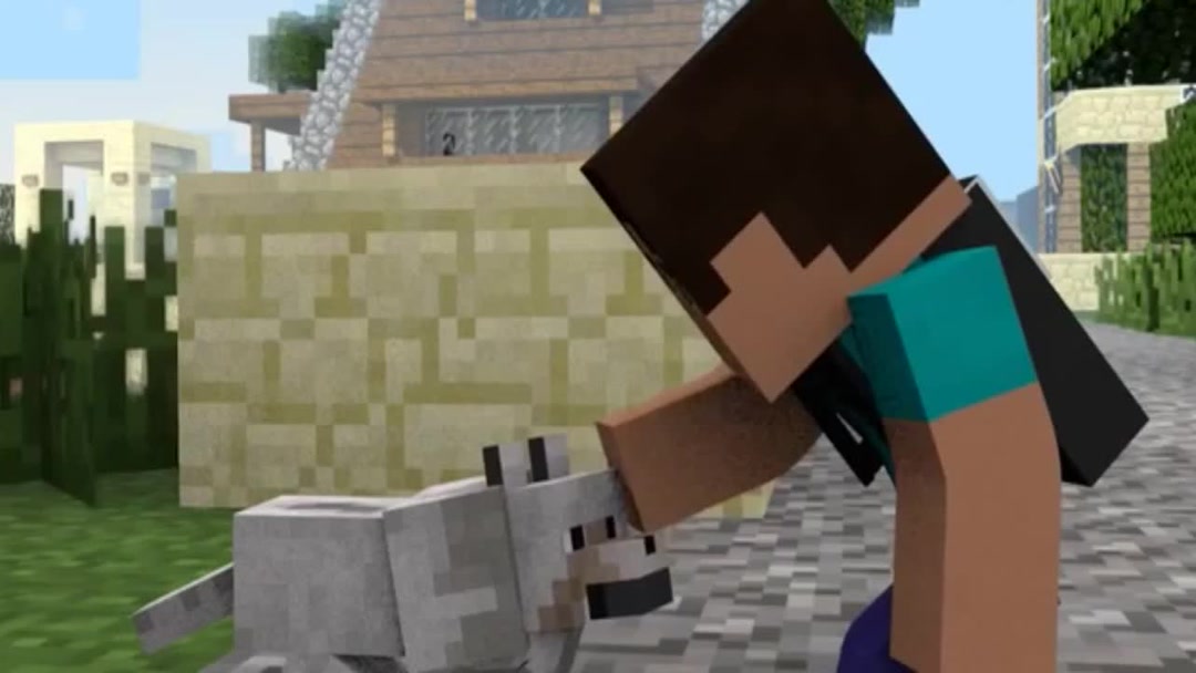 我的世界动画 - 一个悲伤的故事