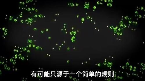 宇宙真的可以被模拟吗,康威生命游戏