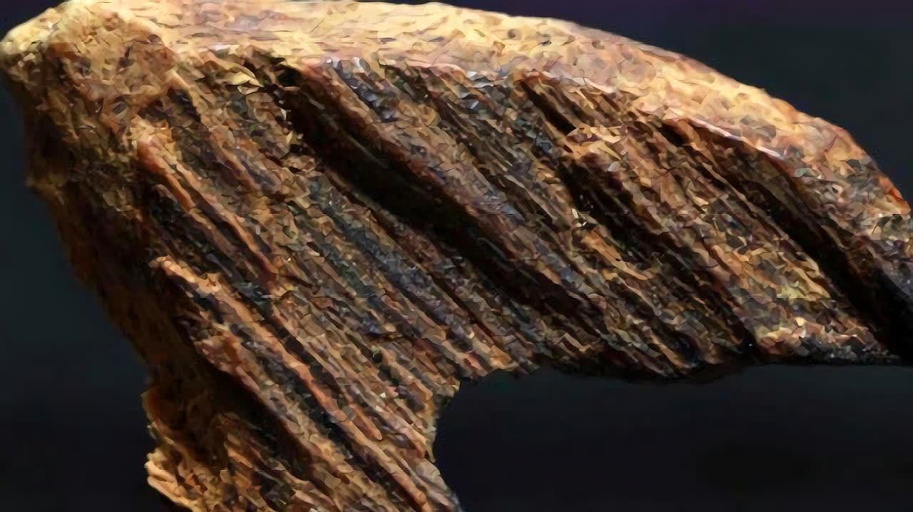 世界最贵的木材,价格是黄金的几十倍,如今更是一克难求!