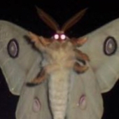 哉生明_ 