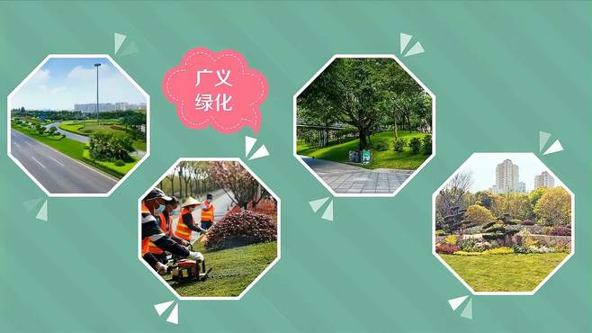 绿化:栽种植物以改善环境的活动