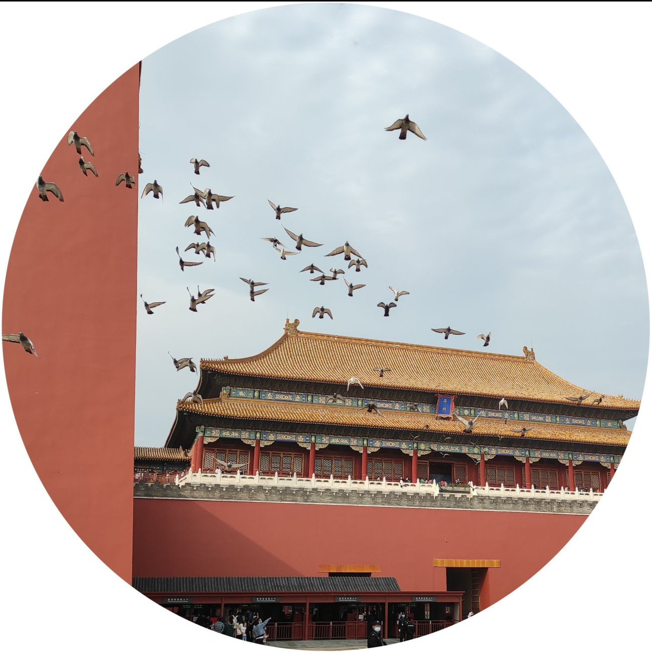计算机类专业寻梦计划 