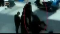 太残忍 打狗队当着狗主人的面将狗处死 一只狗60块钱