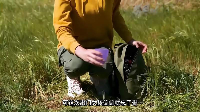 几个户外露营小技巧,教你不用指南针也能辨别方向,看到就是赚到