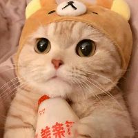 小小带你玩经典 