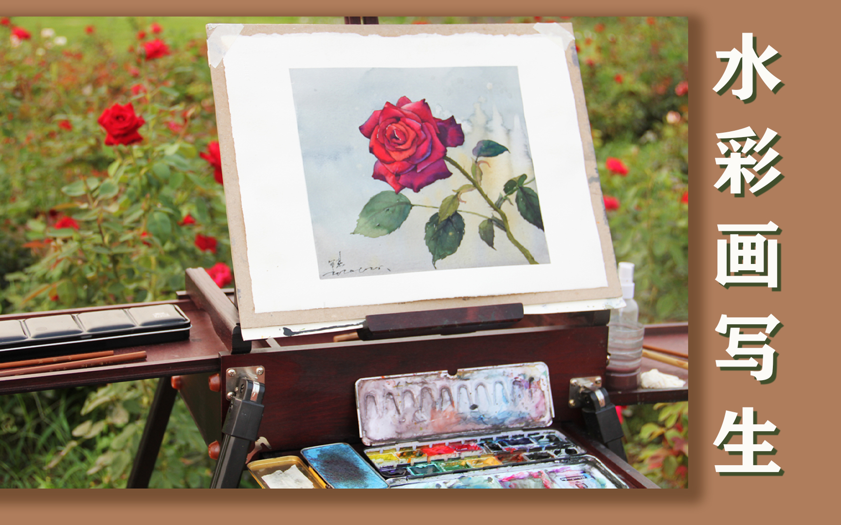 【水彩画】写生,玫瑰花