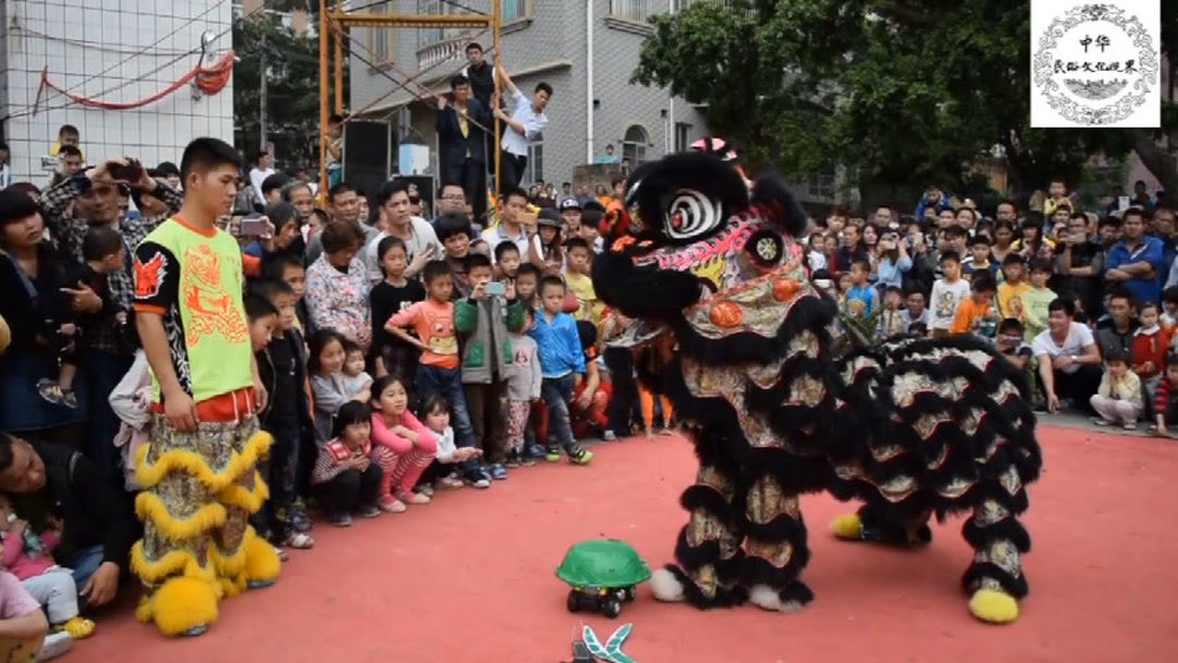 广东湛江醒狮表演勇擒老虎蟹,最有特色的醒狮好戏,你不一定见过