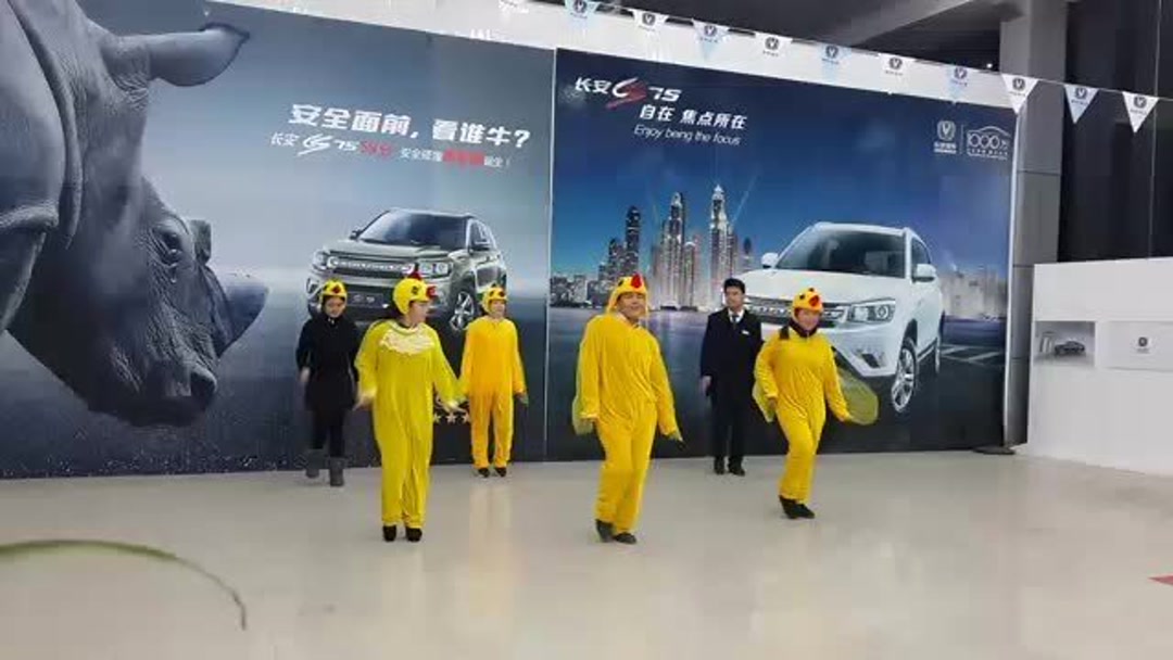 一群成精的小鸡,小鸡,咕咕咕