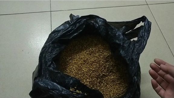 买了这么多中草药回来,难道你要开中药房吗?