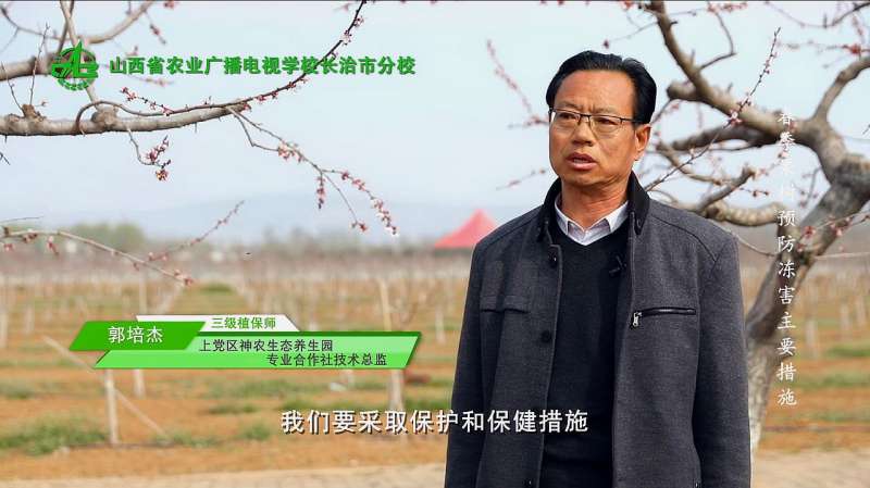 长治农广校《春季果树预防冻害的主要措施》