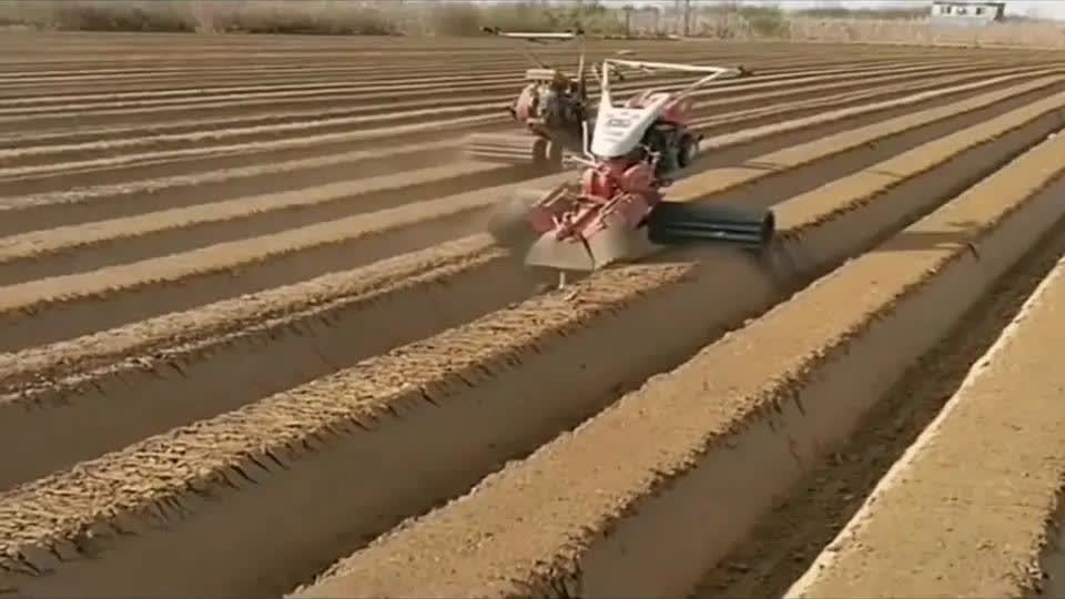 科技农业!( T﹏T )