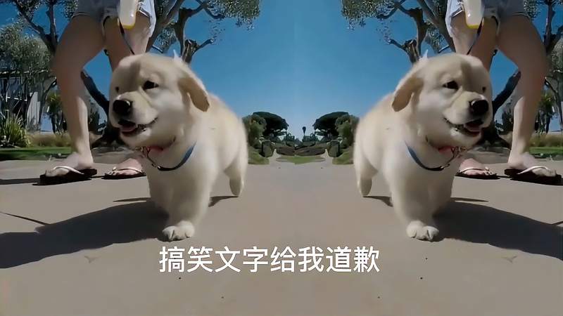 搞笑文字,逗比暖男就是这么逗这么暖