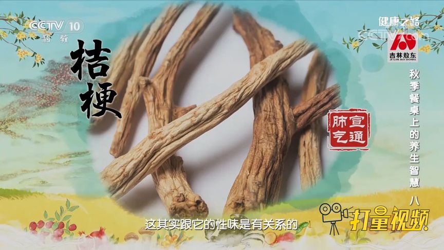 桔梗性味苦而辛,可以宣通肺气、祛痰利咽,专家讲解|健康之路