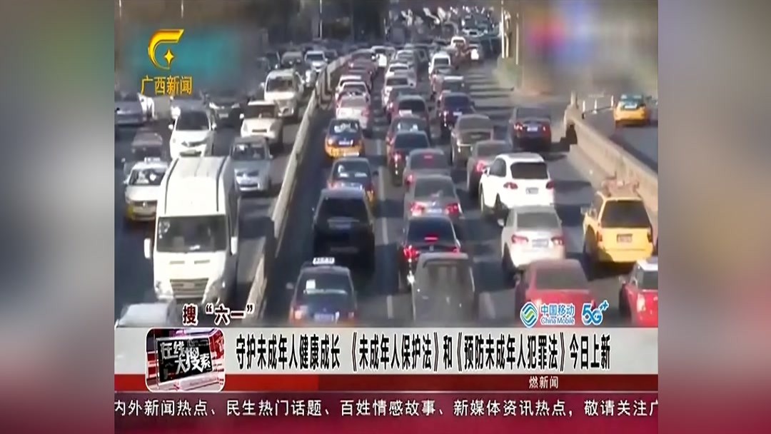 守护未成年人健康成长《未成年人保护法》和《预防未成年人犯罪法》...