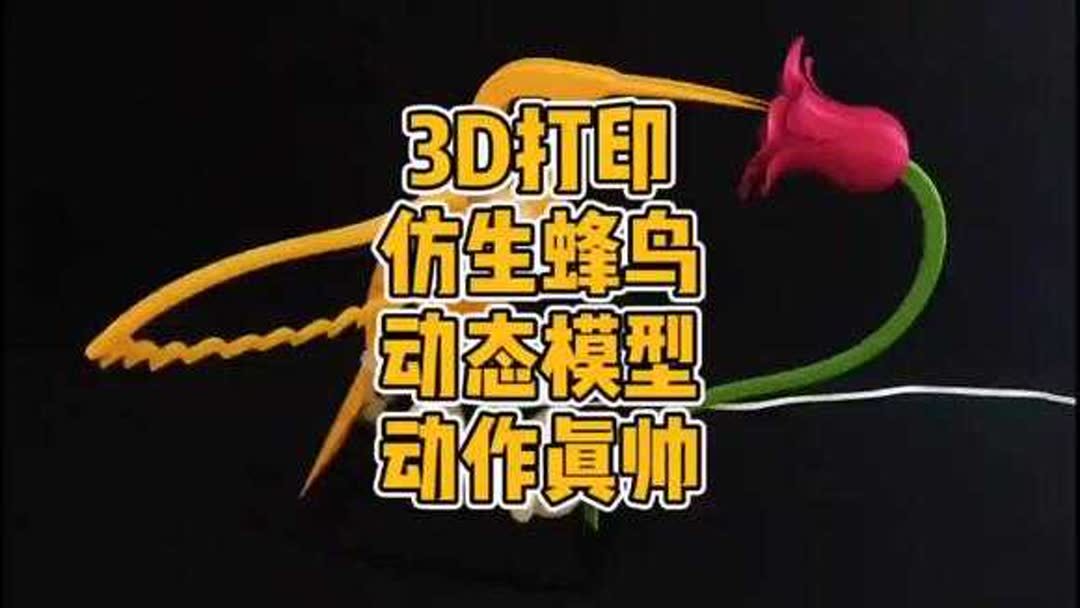 3D打印仿生蜂鸟,设计精妙,动作舒适#3d打印 #仿生 #蜂鸟 #动态