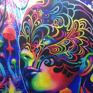 博尔特数码科技 