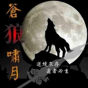 狼啸晧月 