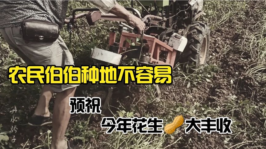 农民伯伯种地不容易,顶着37度的大太阳,忙耕于田间地头,辛苦了