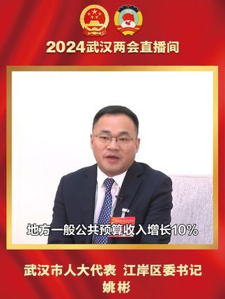 市人大代表、江岸区委书记姚彬:坚持把现代服务业作为产业转型"闯关"...