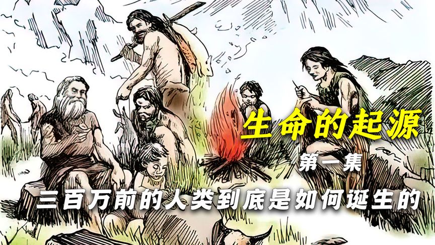 人类到底是如何诞生的