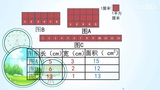 小学数学1对1:探究长方形和正方形的面积计算
