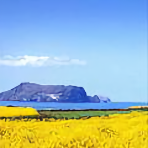 南峰先生 