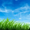 加加经典影视分享 