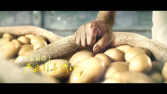 【四川公共·乡村频道】乡村振兴宣传片产业篇