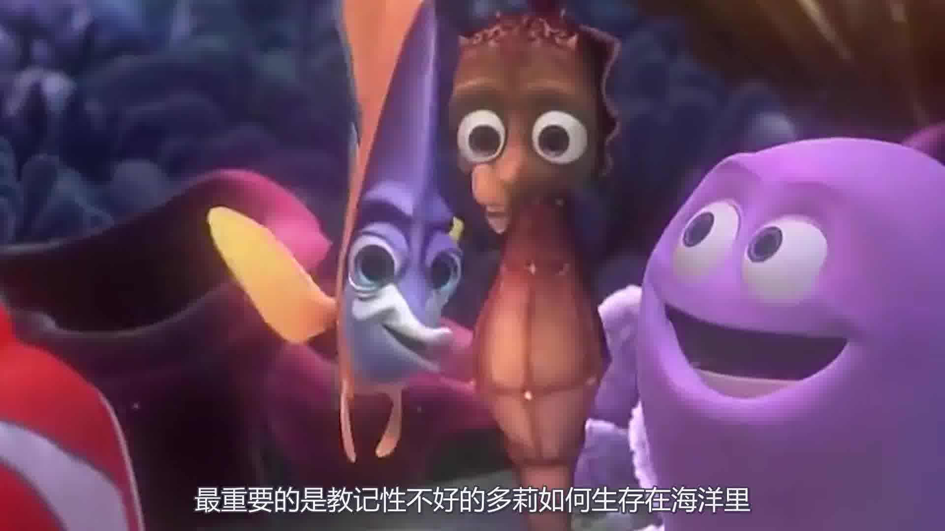 我们居然被《海底总动员》骗了这么多年!