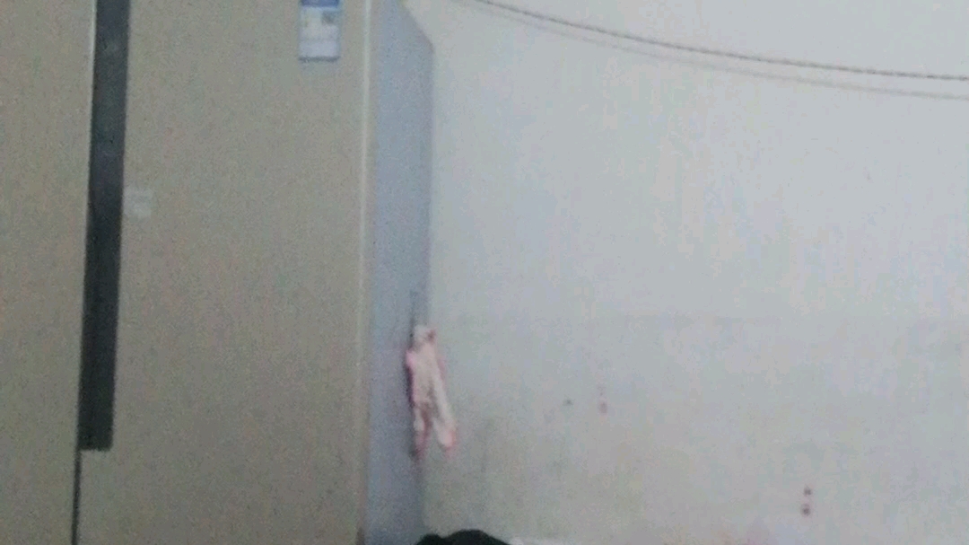 【记录不那么日常的日常】化学作业——自制汽水